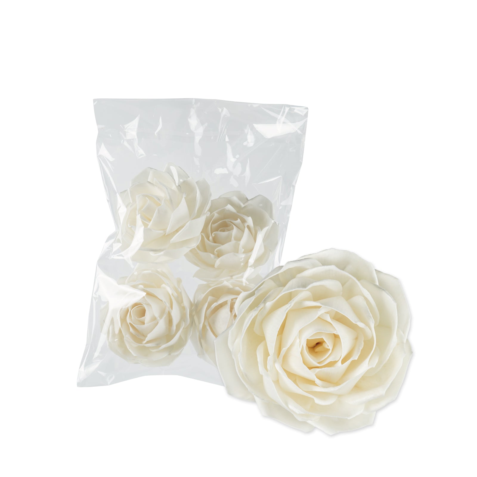 Sofla Japan ソラフラワーなどナチュラルセレクトショップのソフラ